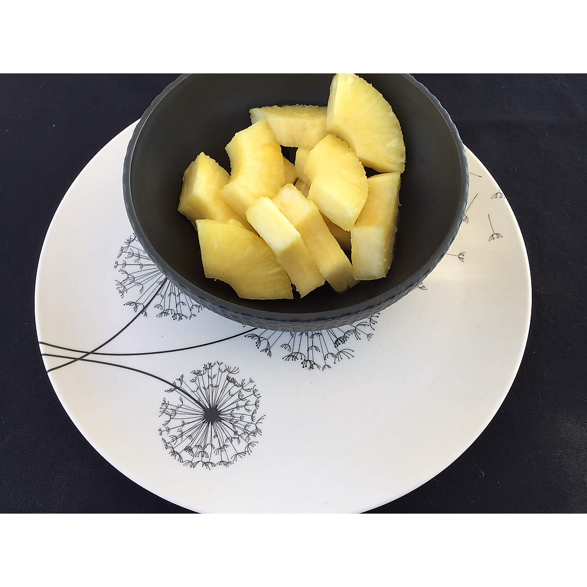 Aquaterra Living Ecofriendly Dinner Plate Set with Dandelion Designs- Set of 6, 10" indoor or outdoor plates