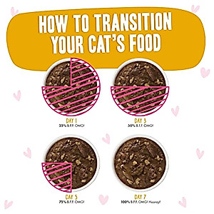 Weruva B.F.F. OMG - Best Feline Friend Oh My Gravy!, Tuna & Turkey Tickles with Tuna & Turkey in Gravy Cat Food, 3oz Pouch (Pack of 12)