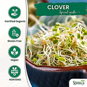 Nature Jims Clover Sprout Seeds – 16 oz Organic Sprouting Seeds – Non-GMO Premium Clover Seeds – Resealable Bag for Longer Freshness – Rich in Vitamins, Minerals, Fiber