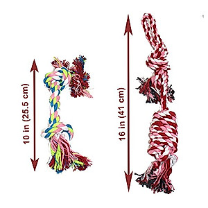 Jalousie Chew Toy Natural Rubber chew Toy for Interactive Play Toy Ball Rope Rubber Value Set for Small to Medium Breed Dog mutt Puppy