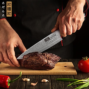 HOSHANHO Damascus Chef Knife 8 Inch, Professional 67 Layers VG-10 Super Steel Kitchen Knife, Ultra Sharp Japanese Cooking Knife with Ergonomic Olive Wood Handle