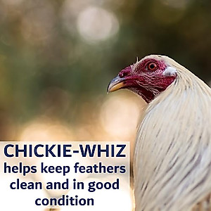 Chickie Whiz Dust Bath 5.5lb, Chicken Dust Bath, Dust Bath for Chickens for Healthy Chicken, Poultry Dust, Chicken Bath, Dust for Chickens, Chicken Coop Accessories, by Billy Buckskin Co.