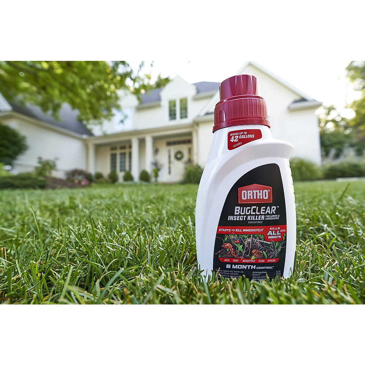Ortho BugClear Insect Killer for Lawns & Landscapes Concentrate - Kills Periodical Cicadas, Mosquitoes, Ants, Spiders, Fleas, Ticks & More, Outdoor Bug Spray with Long Lasting Control, 32 oz.
