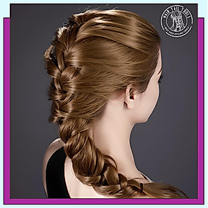 Teenitor 4pcs Pony Hair Tail Accessories, 2 Pairs French Braiding Tool, Turvy Styling Tool for Women Girls, Ponytail Pull Through Tool Purple/Blue