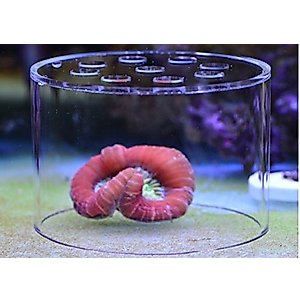 Marine Color Soft Coral Feeding Breeding Protection Cover, Protect The Coral Food not be Lost (Small)