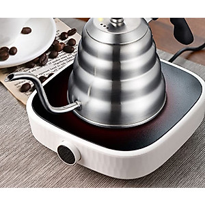 Beeca Pour Over Coffee Kettle with Thermometer, Premium Stainless Steel Gooseneck Kettle for Tea French Press Drip Coffee Slow Brew Pot for All Stovetop and Any Heat Source, 40oz / 1200ml