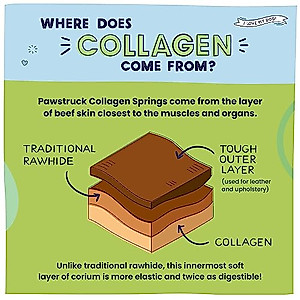 Pawstruck Natural Large Collagen Stick Springs for Dogs - Vet-Approved Long Lasting Alternative to Traditional Rawhide & Bully Sticks - High Protein Dental Treat w/Glucosamine & Chondroitin - 4 Pack