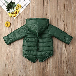 Fashion Toddler Baby Boys Girls Dinosaur Hoodie Jacket Fall Winter Long Sleeve Warm Coats Kids Zip Up Outwear Clothes (Green,4-5T)