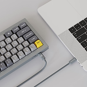 Keychron Q2 Wired Custom Mechanical Keyboard Knob Version, 65% Layout QMK/VIA Programmable Macro with Hot-swappable Gateron G Pro Brown Switch Double Gasket Compatible with Mac Windows Linux (Grey)