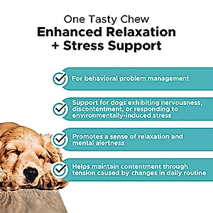 PetHonesty Hemp Calming Max Strength Chews for Dogs - All-Natural Soothing Snacks with Hemp + Valerian Root, Dog Stress & Dog Anxiousness - Helps Aid with Thunder, Fireworks, Chewing & Barking (Duck)