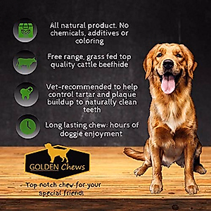 GOLDEN Chews Natural Rawhide Roll Twist Sticks 9-10 Inches Dog Treat. Extra Thick, Single Sheet. (20 Pack)