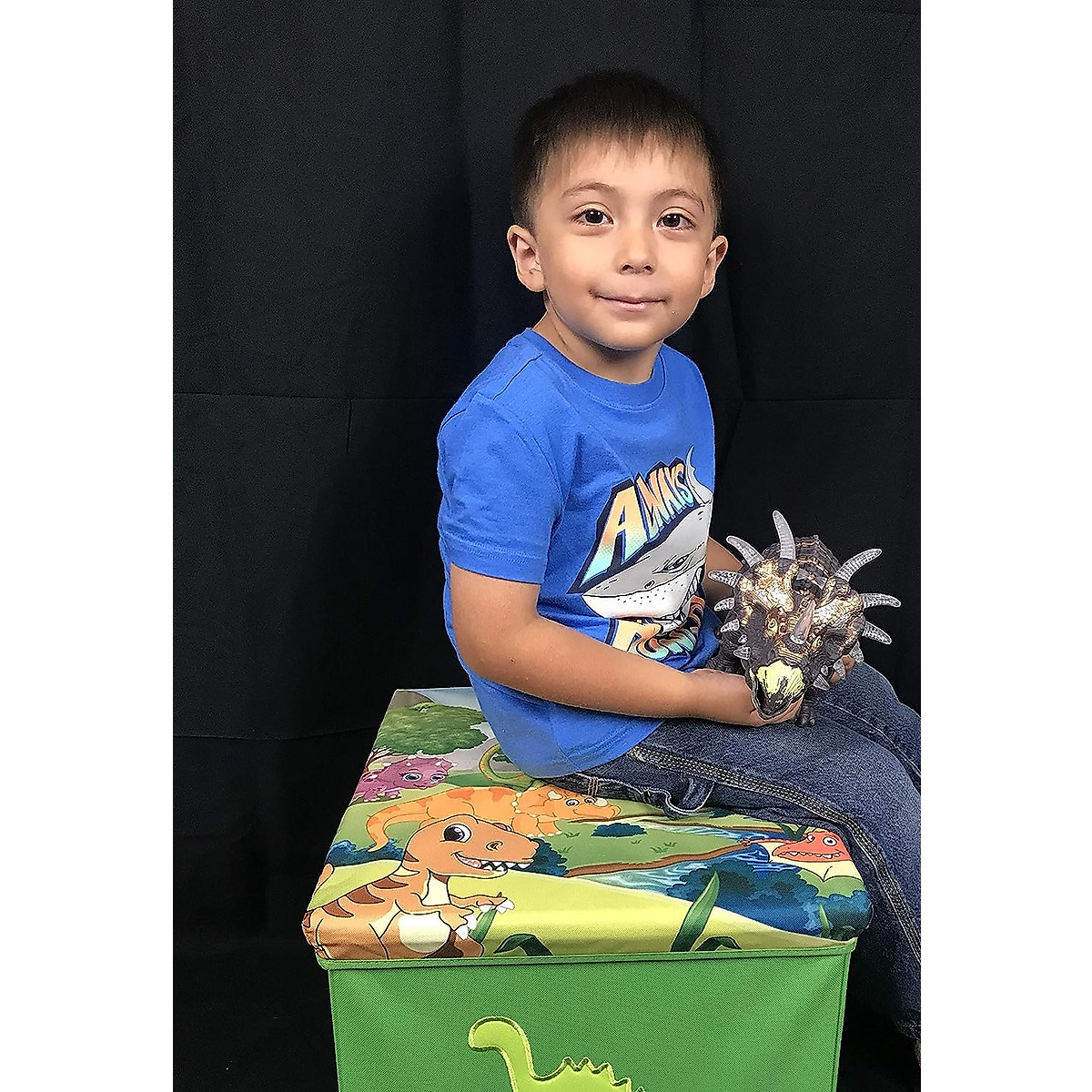 Toy Chest for Boys, Storage Bins for Toys, Toy Box for Boys, Kids Toy Storage Bins, Sturdy & Foldable, Removable Divider, Dinosaur Storage Containers for Playroom, Bedroom, Home, Dinosaur Pattern