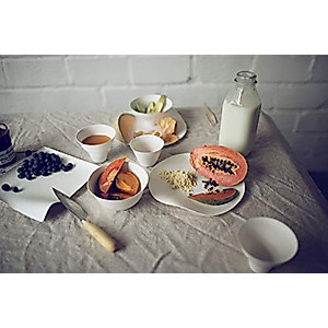 WASARA DM-015R Platters, White, 9.6 inches (24.6 cm), 6 Pieces