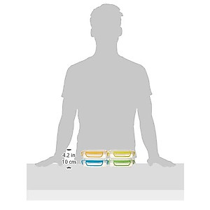 Snap Fresh - 4 Pack of Sandwich Containers (450 ml) - Reusable, BPA Free Plastic, Snap & Lock Shut Lids and Silicone Seal. Great for Fruit, Salad, Lunch Box Snacks and Food Storage; Kids and Adults