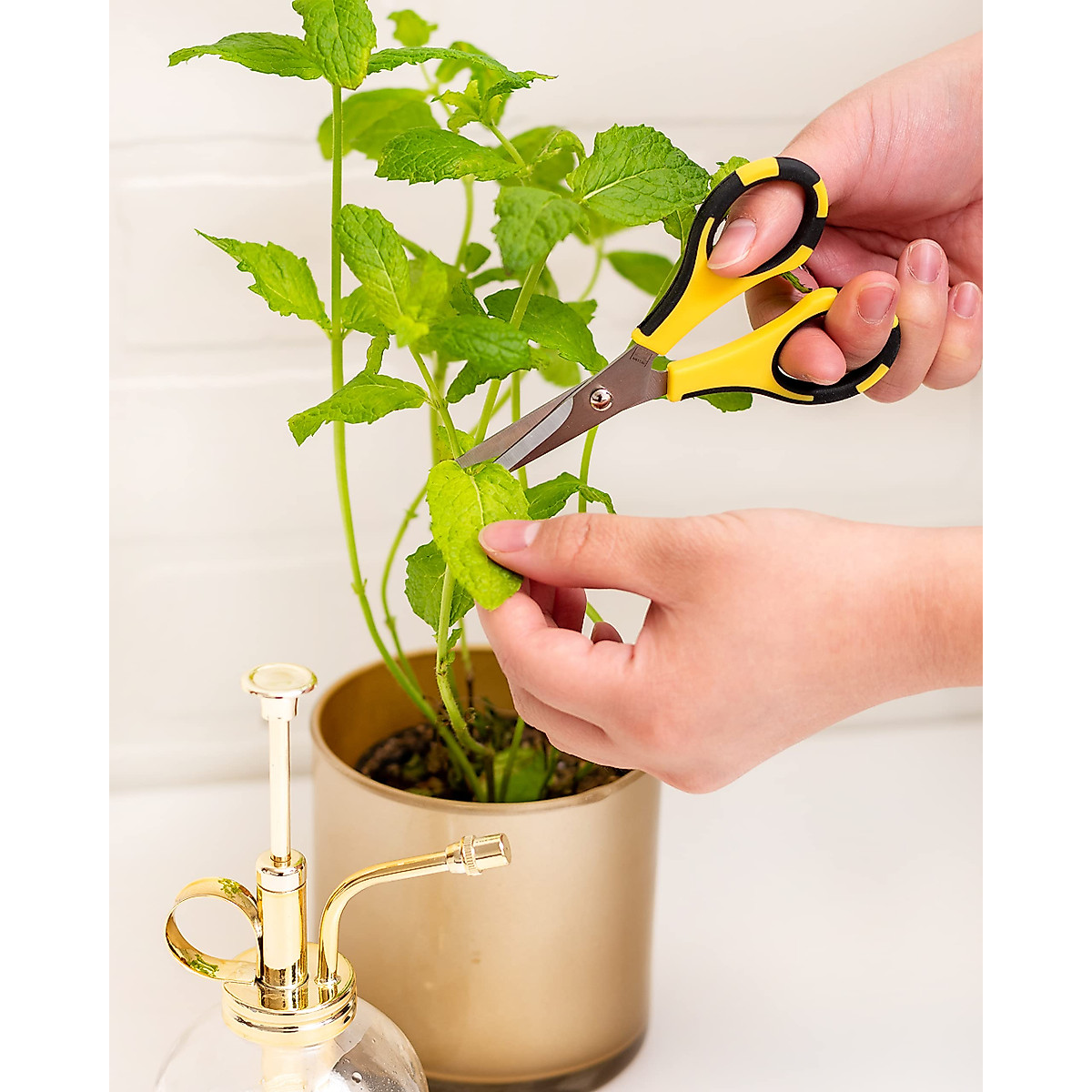 EK Success EKCB01 Cutter Bee Precision Scissors, Small