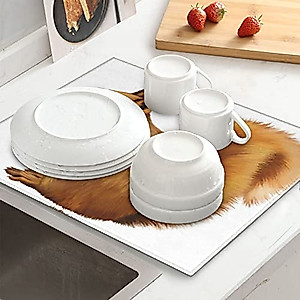 Lively Squirrel Printed Drying Mat For Kitchen Ultra Absorbent Microfiber Dishes Drainer Mats Non-Slip Silicone Quick Dry Pad - 18 X 16inch