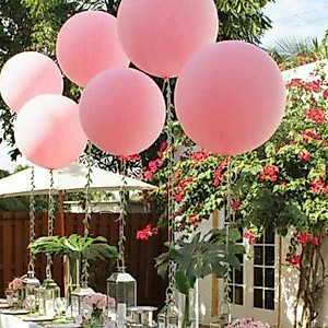 TIHOOD 2PCS 252 Ft Artificial Vines, Artificial Eucalyptus Leaf Garland DIY Greek Wild Jungle Decorative Botanical Greenery for Home Wall Garden Wedding Party Wreaths (Artificial Vines x2)