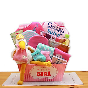 A Special Delivery New Baby Girl Gift Basket, New Baby Gift for Girl, Baby Girl Gift.