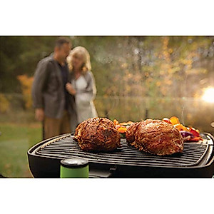 Napoleon Propane Gas Grill