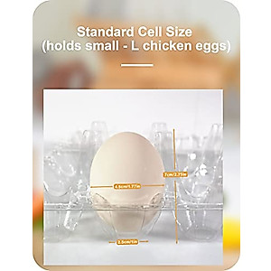 Pintuson Egg Cartons Cheap Bulk 60 Pack - Holds 1 Dozen Clear Blank Egg Cartons for Chicken Eggs - Medium Plastic Egg Carton for Home Ranch Chicken Farm, Commercial Market Display (3x4 Grids)