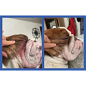 Squishface Wrinkle Paste & Flexible Silicone Dog Wrinkle Cream Applicator Bundle - Softer, Cleaner Way to Apply Wrinkle Paste to Your Dog's Face - Great for All Breeds!