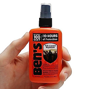 Ben's 100 Tick and Insect Repellent Pump 3.4 Fl Oz 2 Pack