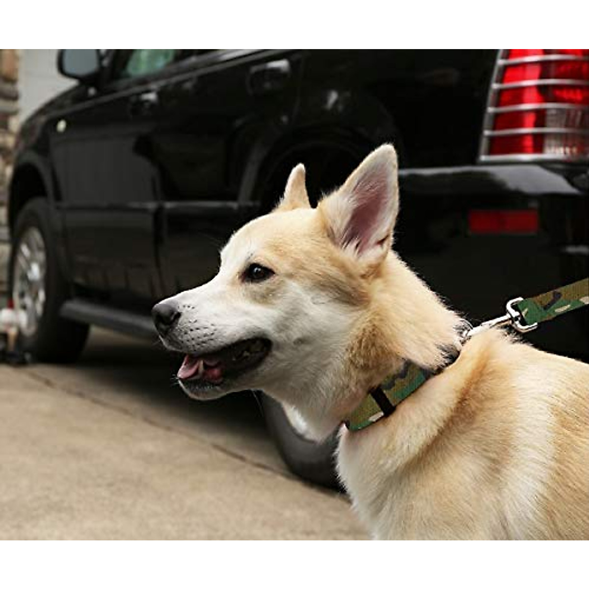 Camo Dog Collar - Camouflage Waterproof Dog Collar, Made in the USA - 3/4 Inch Adjusts 11.5 - 17.5 Inches, Medium, Digi Camo Blue