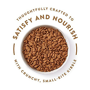 NUTRO ULTRA High Protein Natural Dry Dog Puppy Food with a Trio of Proteins from Chicken Lamb and Salmon, 15 lb. Bag