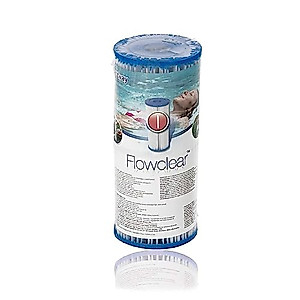 POOL FILTER CARTG I 2PK