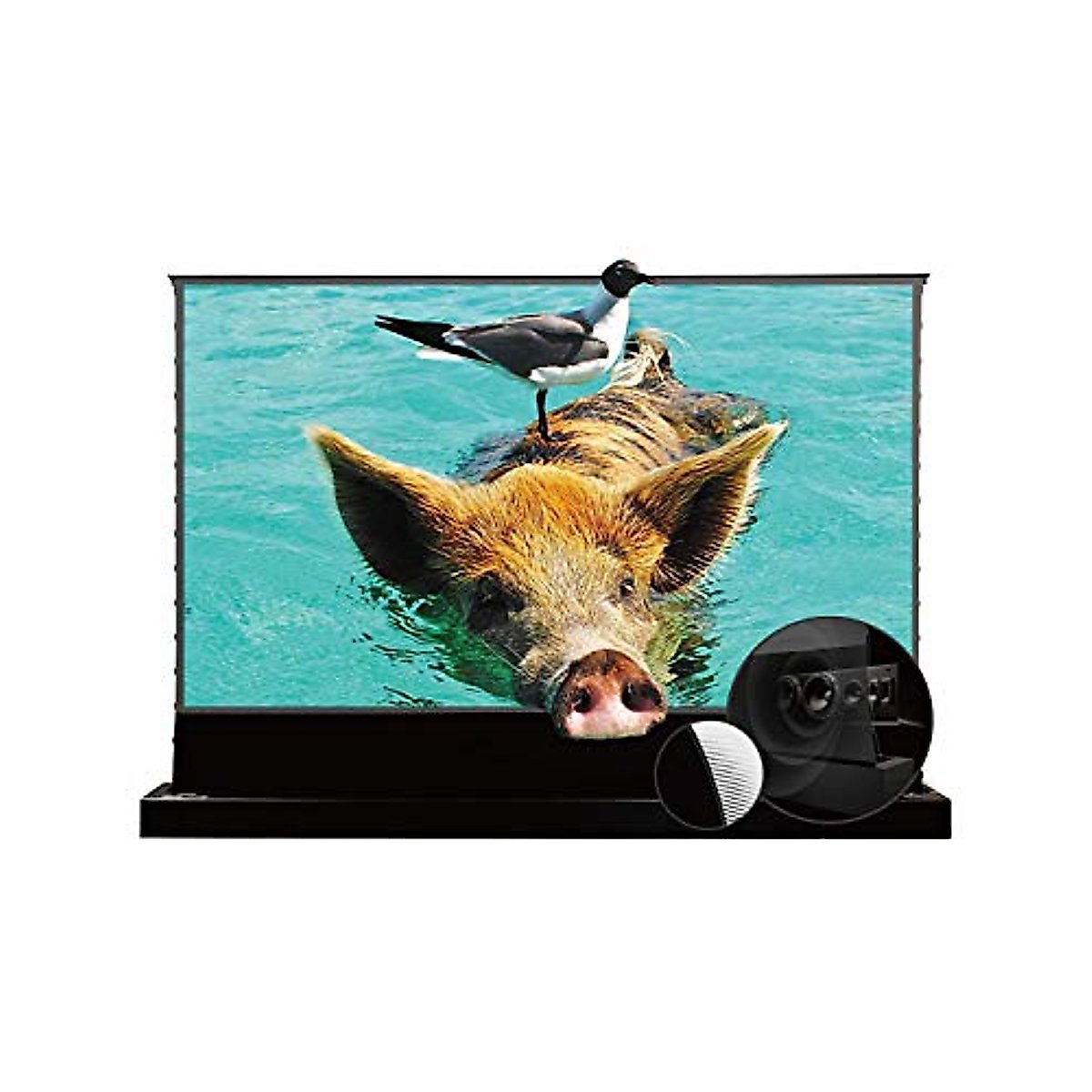 VIVIDSTORM-Projection Screen Stand S PRO P 92inch Portable Ambient Light Rejecting 4k Laser Projector Screen with Sound Transparent Perforated Compatible with UST Laser Projector,VBSDSTUST92HP