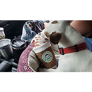Pro Pet Works Doggie Bucks Plush Squeaky Chew Toy for Dogs Cats Puppies-Best Funny Parody Birthday for Small Medium & Large Animals-Stuffed Fall Coffee Squeaker