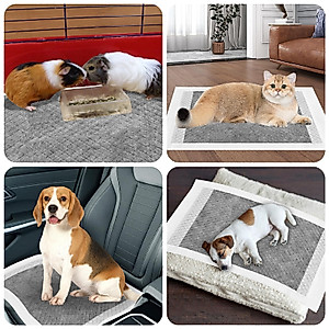 OHCCYML Disposable Guinea Pig Cage Liners，50PCS Thickened Guinea Pig Pee Pads Super Absorbent Charcoal Odor Controlling Cage Bedding Liners for Small Animals Rabbit Cat Puppy Hamster（18" x 13"）