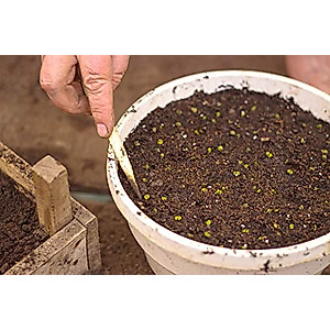 Organic Sphagnum Peat Moss by Perfect Plants - Absorbs Essential Nutrients When Added to Soil and Enriches Plant Roots - Indoor and Outdoor Use (8qts.)