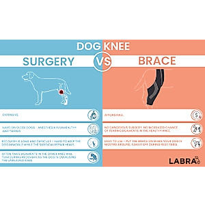 Labra Dog Canine Knee Stifle Brace Wrap, Metal Splint Hinged Flexible Support Brace for K9 ACL, CCL, Luxating Patella, Cruciate Ligament Sprains in Back, Rear, Hind Leg (Extra Large - 75-100lbs)