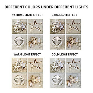 Coastal Serene Canvas Wall Art: Shells on Beach Sand Giclee Print Painting for Wall Decor for SPA Room (12''x12''x4pcs)