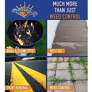 Flame King Propane Torch Kit Heavy Duty Weed Burner, 340,000 BTU with Electric Lighter (Self Igniting), with 6 ft Hose Regulator Assembly