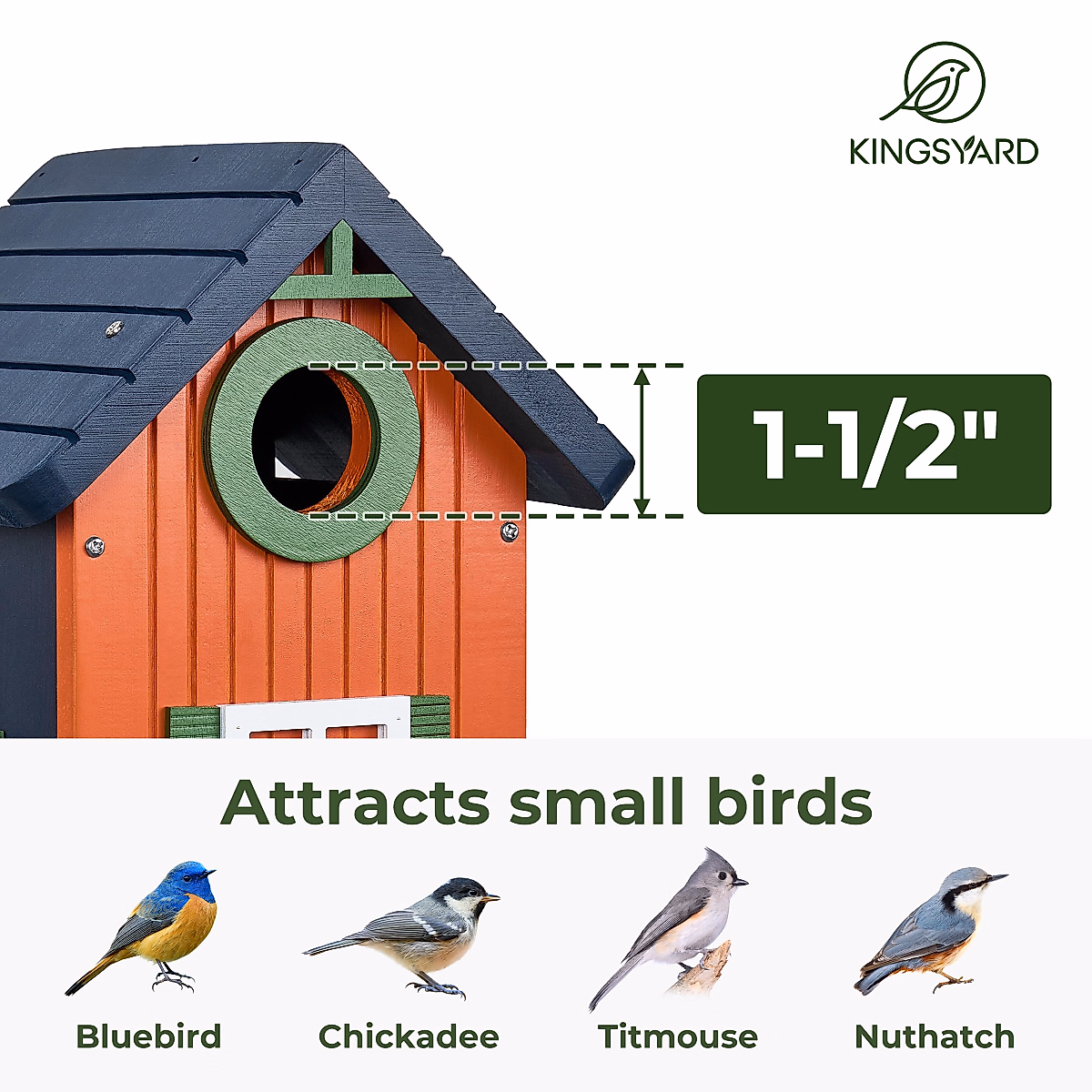 Kingsyard Design Bird House with Predator Guard, Colorful Birdhouse for ...