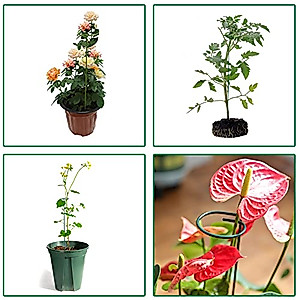 PFNRTH 4 Pack Plant Stakes,Plant Support Stakes for Two Sizes(16 or 32 Inches),Plant Stakes for Outdoor Plants,Garden Flower,Tomato(Green)