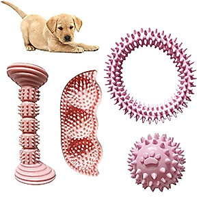 DogieLyn Interactive 2-8 Months Puppy Teething Chew Toys, Puppies Biting Toy, Doggy Teeth Cleaning Rubber Toothbrush for Small Dogs Teddy,Crogi,Schnauzer, 4 pcs (Pink)