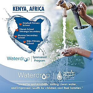 Waterdrop Plus 8171413 NSF 401 Certified Refrigerator Water Filter, 𝐑𝐞𝐝𝐮𝐜𝐞 𝐏𝐅𝐀𝐒, Replacement for Whirlpool® 8171413, 8171414, EDR8D1, Kenmore® 46-9002 (Package May Vary)