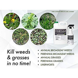 Energen Carolina LLC 579 Vinegar Weed & Grass Killer, Approved for Organic Production, Pet Safe, Glyphosate Free Herbicide, Quart, 1, Light Yellow