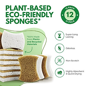 AIRNEX Biodegradable Natural Dish Sponges Kitchen Pack of 12 - Coconut and Cellulose Sponges for Dishes and Surfaces - Eco Friendly Non-Scratch Heavy Duty Dish Scrubber Sponges Bulk for Household