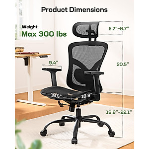 Marsail Ergonomic Mesh Office Chair: Mesh Computer Desk Chair with Adjustable Lumbar Support, 2D Headrest&2D Armrest, Ergonomic Gaming Chair for Home Office, Black