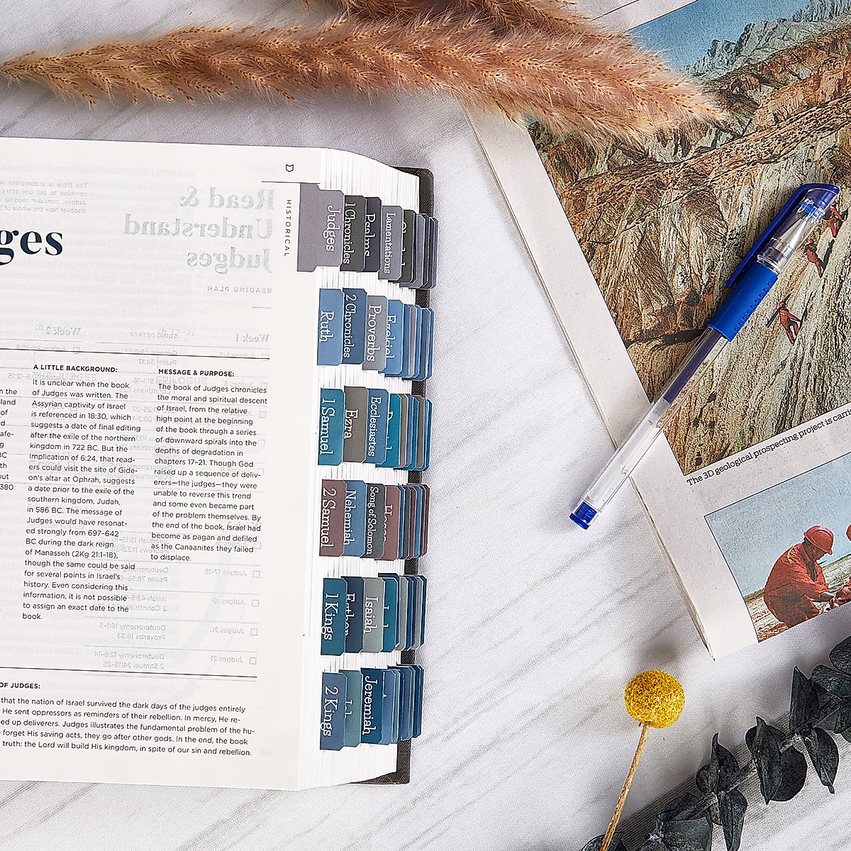 Earthy Blue Bible Tabs for Women and Men, Large Print Laminated Bible Tabs, Easy to Read, Easy to Apply, Bible Journaling Tabs