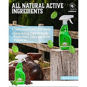 All Natural Peppermint Oil Spray, Non-Toxic Rat Repellent to Repel Mice and Rats, Rodent Repellent Spray - 8oz Ready to Use