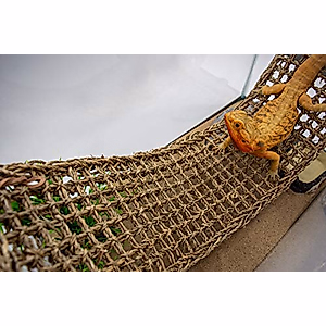 PENN-PLAX Reptology Lizard Lounger – 100% Natural Seagrass Fiber – Great for Bearded Dragons, Anoles, Geckos, and Other Reptiles – Extra Large