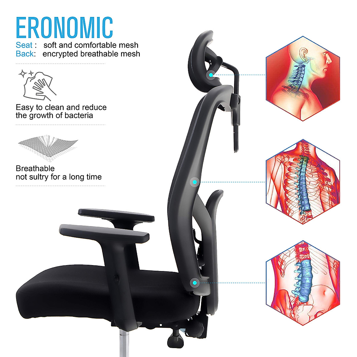 ALPHA HOME Office Chair Ergonomic Home Desk Chair Mid Back Mesh Computer Task Chair with Lumbar Support Executive Stool with Adjustable Armrest & Seat Cushion Rolling Swivel Desk Chair-Capacity 300LBS
