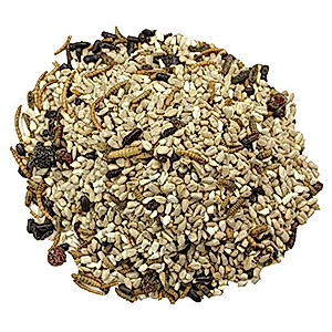 Wild Delight 099127 Bugs N' Berries Wild Bird Food, 4.5 Lb
