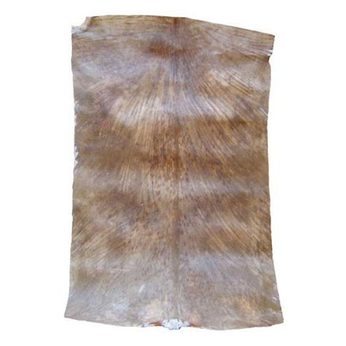 West African Goat Skin - Standard Shaved from Africa Heartwood Project