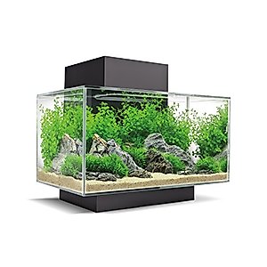 Fluval Edge Aquarium Kit, 6 Gallon, Black